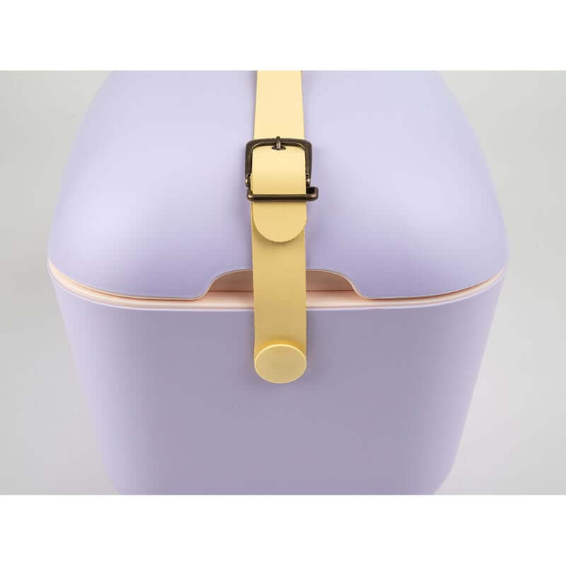 Polarbox 12L Ice Box Lilac & Gold | Soko & Co